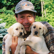 Reserve Your Yellow, Black or Cinnamon Lab Puppy Todayn